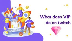 Wondering what does VIP do on twitch? We’ll spill the beans!