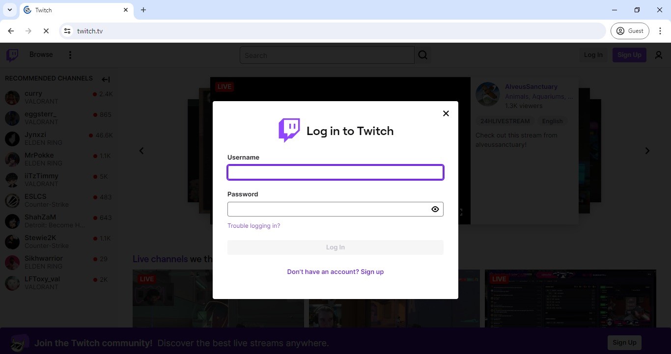 Guide to change twitch username